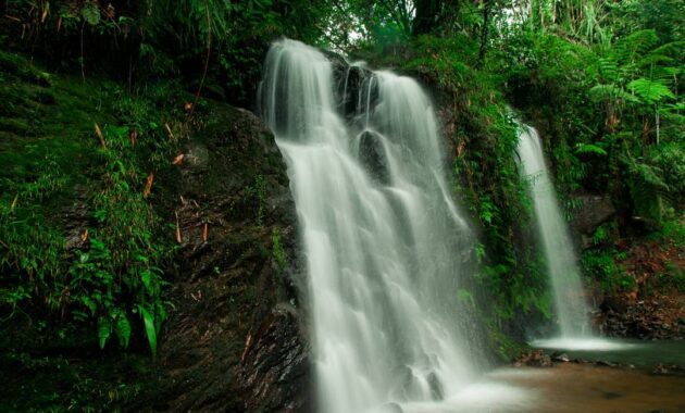 10 Gambar Curug Seribu Bogor 2024 Tiket Masuk Misteri Angker Air Terjun ...