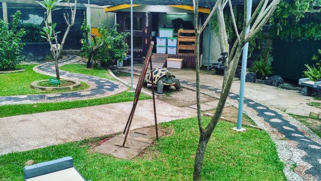 10 Foto Museum Fauna Indonesia Komodo dan Alamat Taman Reptilia TMII ...