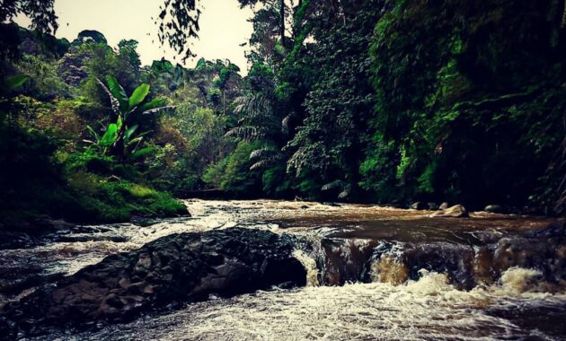 10 Foto Curug Dago Pakar Bandung, Harga Tiket Masuk Waterfall Lokasi ...