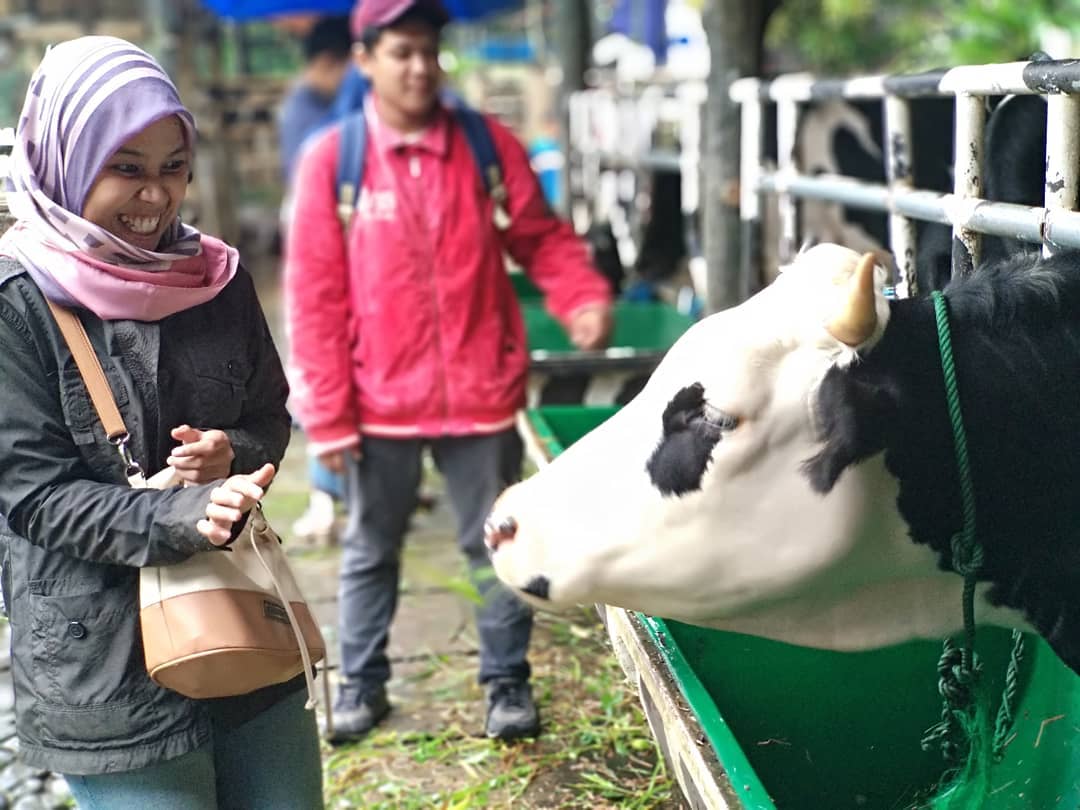 Serunya Plerisan Bareng Keluarga di Cimory Riverside, Kepoin Harga ...