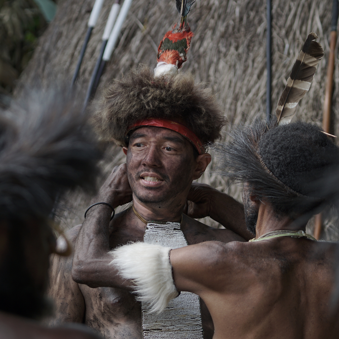 10 Foto Bentuk Koteka Terbuat Dari Apa, Manfaat Adalah? Terancam Punah ...